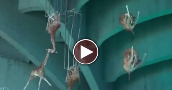 You Better Hold Onto Your Breath There, 'Cause This Video Is About To ...