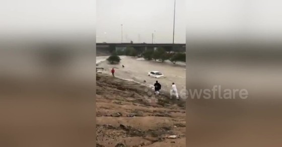 Flooding in Kuwait sweeps away parked cars and causes mayhem - Sharedots