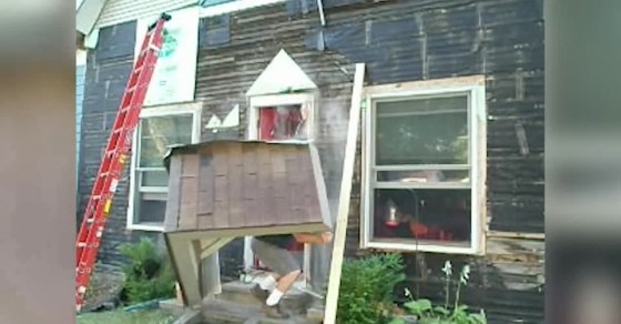 DIY Fails - Sharedots