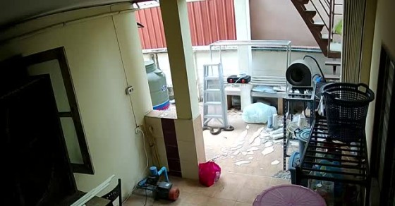 Snake Ceiling Surprise - Sharedots