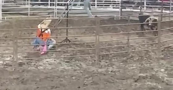 Teeter Totter Teases Rodeo Bull - Sharedots