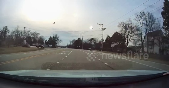 Shocking dash-cam footage captures moment goose electrocutes itself on ... Shocking dash-cam footage captures moment goose electrocutes itself on ...