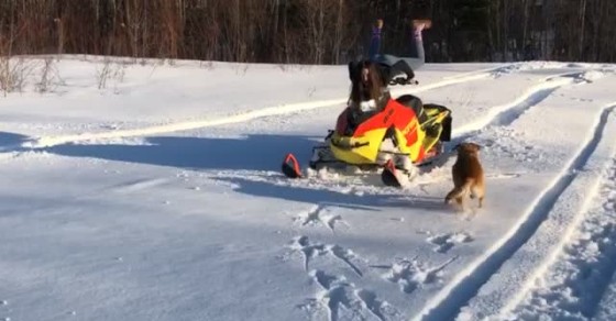 Snowmobile Scorpion Flip Fail - Sharedots