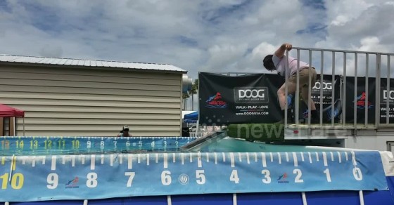 Dog makes tiny splash during Florida dock diving competition - Sharedots