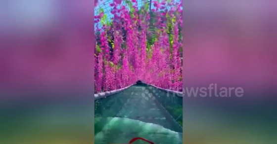 Glass water slide in China allows tourists to float down under ...