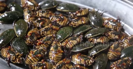 Chinese restaurant serves steamed cockroaches as snacks for customers ...