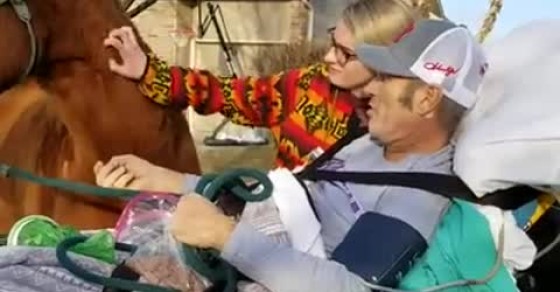 Dying cowboy sees his beloved horse one last time - Sharedots