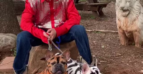 Kids Role Playing as the Tiger King with Frenchies - Sharedots