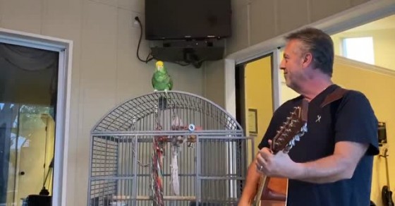 Tico Singing with the Man - Sharedots