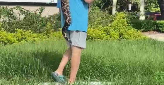 Man Taking a Snake for a Stroll - Sharedots