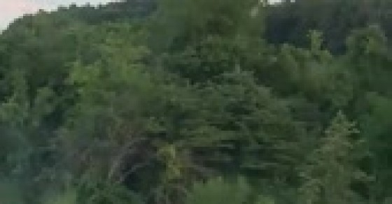 Tornado captured on camera near Decatur, Alabama - Sharedots