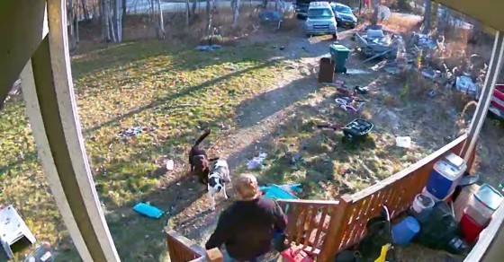 Gravity Fails - Sharedots