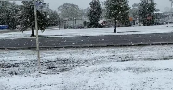 Rare Spring Snow Falling in Australia - Sharedots