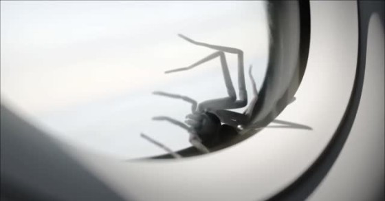 Giant Spider on a Plane - Sharedots