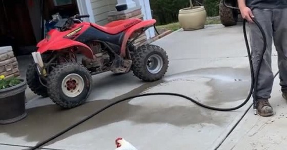 Kyle the Angry Rooster Rules the Roost - Sharedots