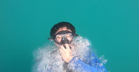 Slow Motion Dive Entry - Sharedots