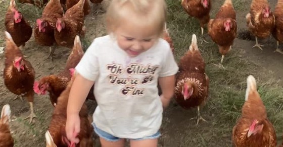 Adorable Little Girl and Her Army of Chickens - Sharedots