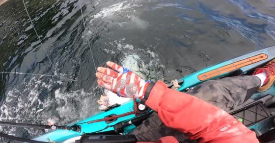 Massive Halibut Caught by Kayak Angler in Alaska - Sharedots