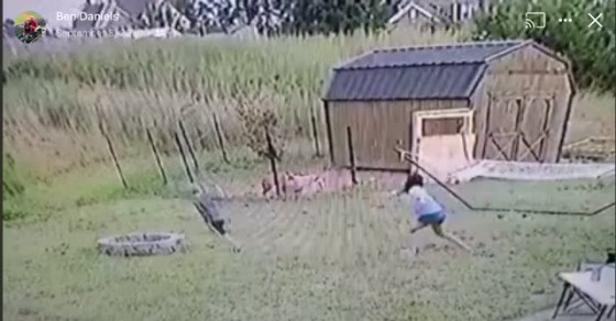 Kid Gets Hit in Face with Dodgeball and Falls in Firepit - Sharedots