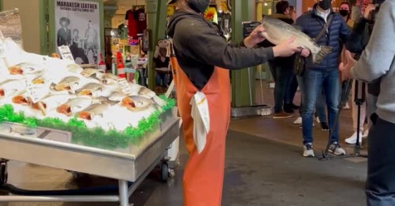 Employees Toss Fish at Seattle Fish Market - Sharedots