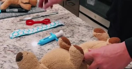 Explaining Neutering to My Child - Sharedots