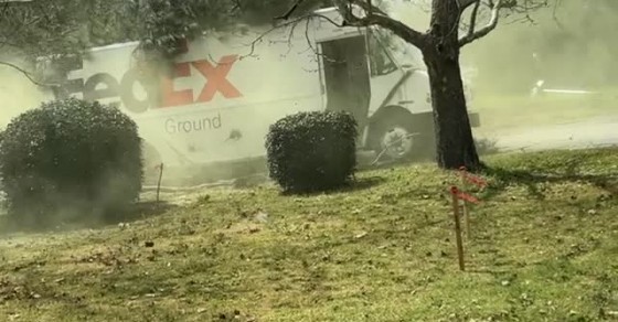 Pollen-Filled Tree Falls on FedEx Truck - Sharedots