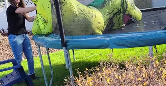 Getting on a Trampoline as a T-Rex is Hard - Sharedots