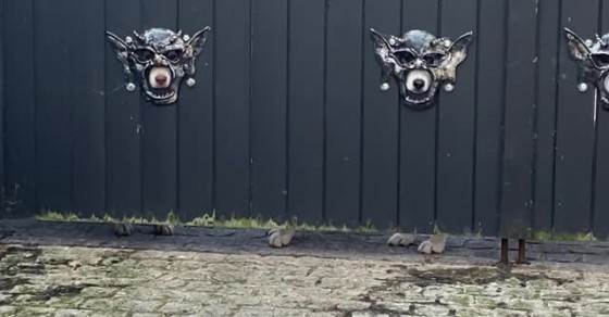 Gate Has Built in Husky Masks - Sharedots
