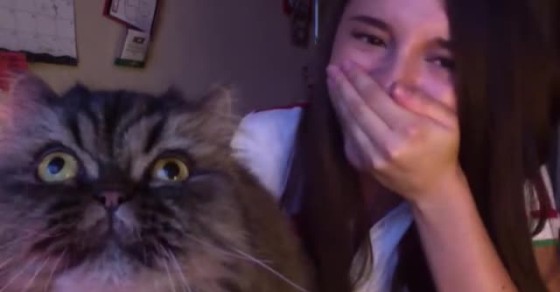 Cat Interrupts Opera Session to Sing - Sharedots