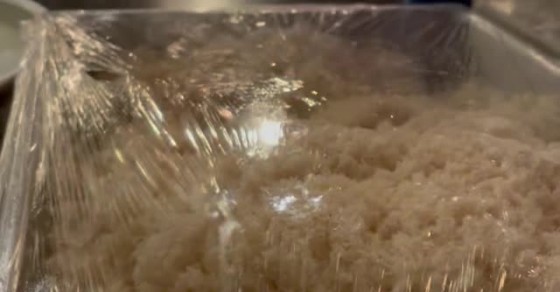 Rat in Restaurant Gets Rice as a Meal - Sharedots