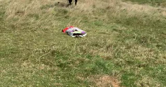 Horse Kicks Up Mud Patty With Perfect Aim - Sharedots