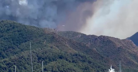Forest Fire in Marmaris, Turkey - Sharedots
