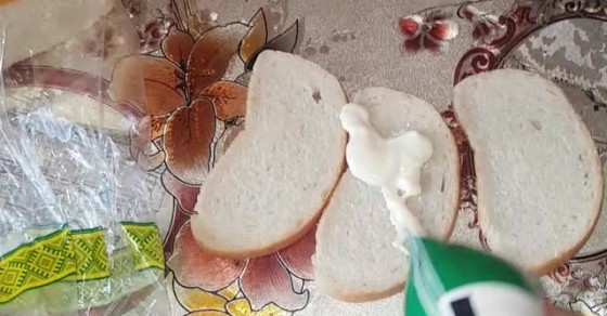 Bagged Mayonnaise Disaster - Sharedots