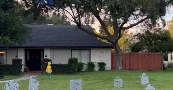 Floating Max Halloween Decoration - Sharedots
