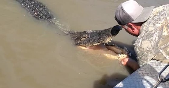 Alligator Affection on the Bayou - Sharedots