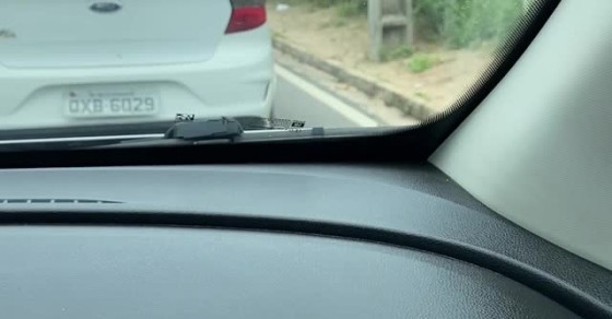 Snake Tries to Hitch a Ride Under Car Hood - Sharedots