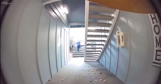 Delivery Drivers Use Different Delivery Methods - Sharedots