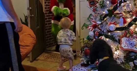Child Horrified by Grinch Stealing Presents - Sharedots
