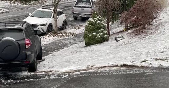 Car Ice Rink - Sharedots