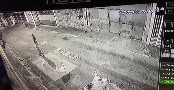 Dog Grabs Squeegee and Closes Gate - Sharedots