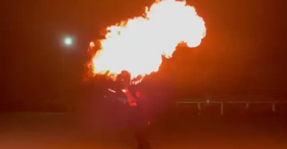 Professional Cracks Flaming Whip - Sharedots