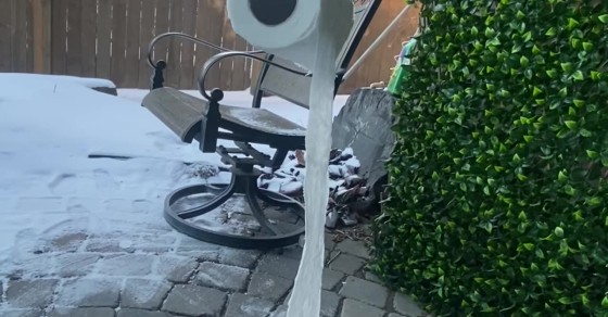 Frozen Toilet Paper Roll Defies Gravity - Sharedots
