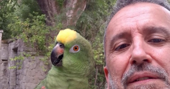 Parrot Imitates Animal Sounds - Sharedots