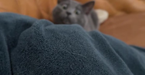 Derp Coming For the Hand Monster - Sharedots