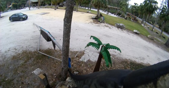 Car Crashes Into Partially Open Gate - Sharedots