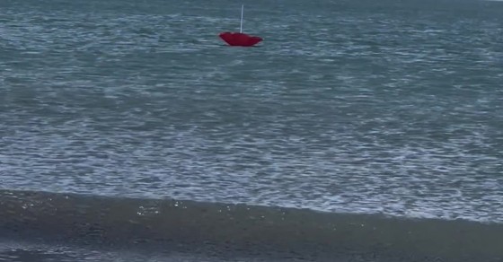 Ocean Claims Beach Umbrella - Sharedots