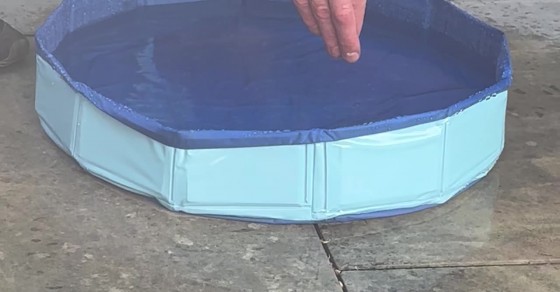 He’s Not a Pool Boy - Sharedots