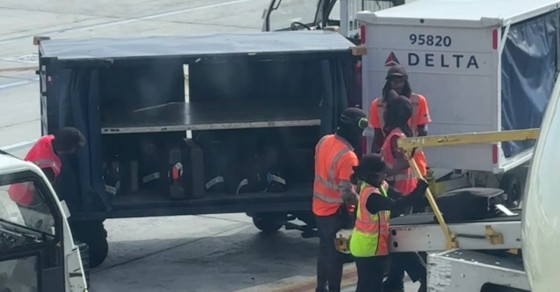 Delta Baggage Handler Throwing Bags - Sharedots