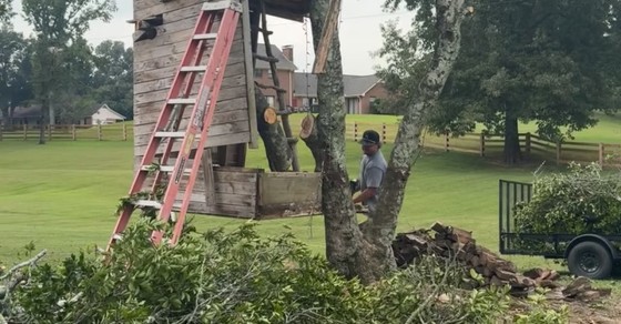 Slow Running From Falling Treehouse - Sharedots