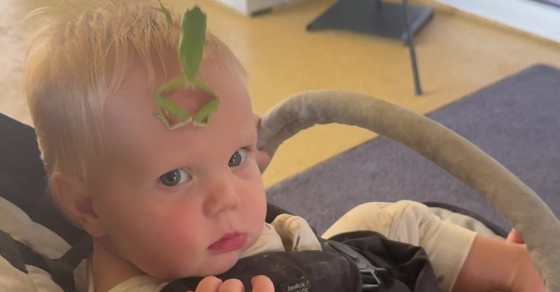 Baby Unbothered By Frog Jumping On Head - Sharedots